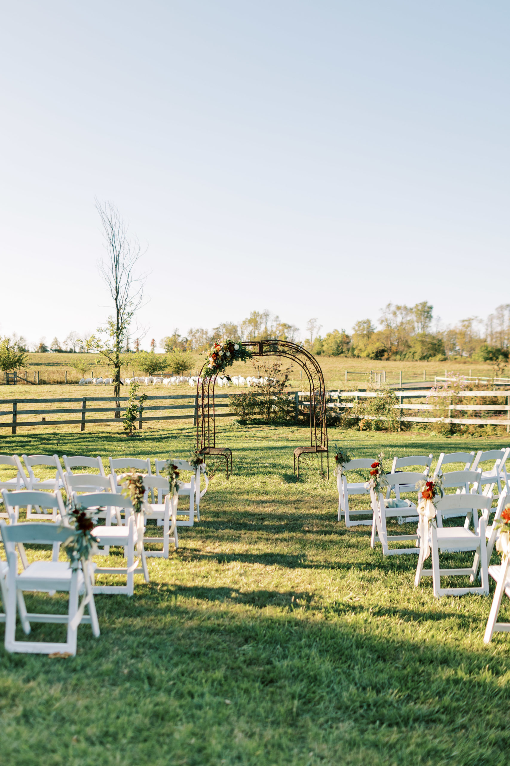 Rocklands Farm Winery | Poolesville, MD | Jesse + Jean Luc ...