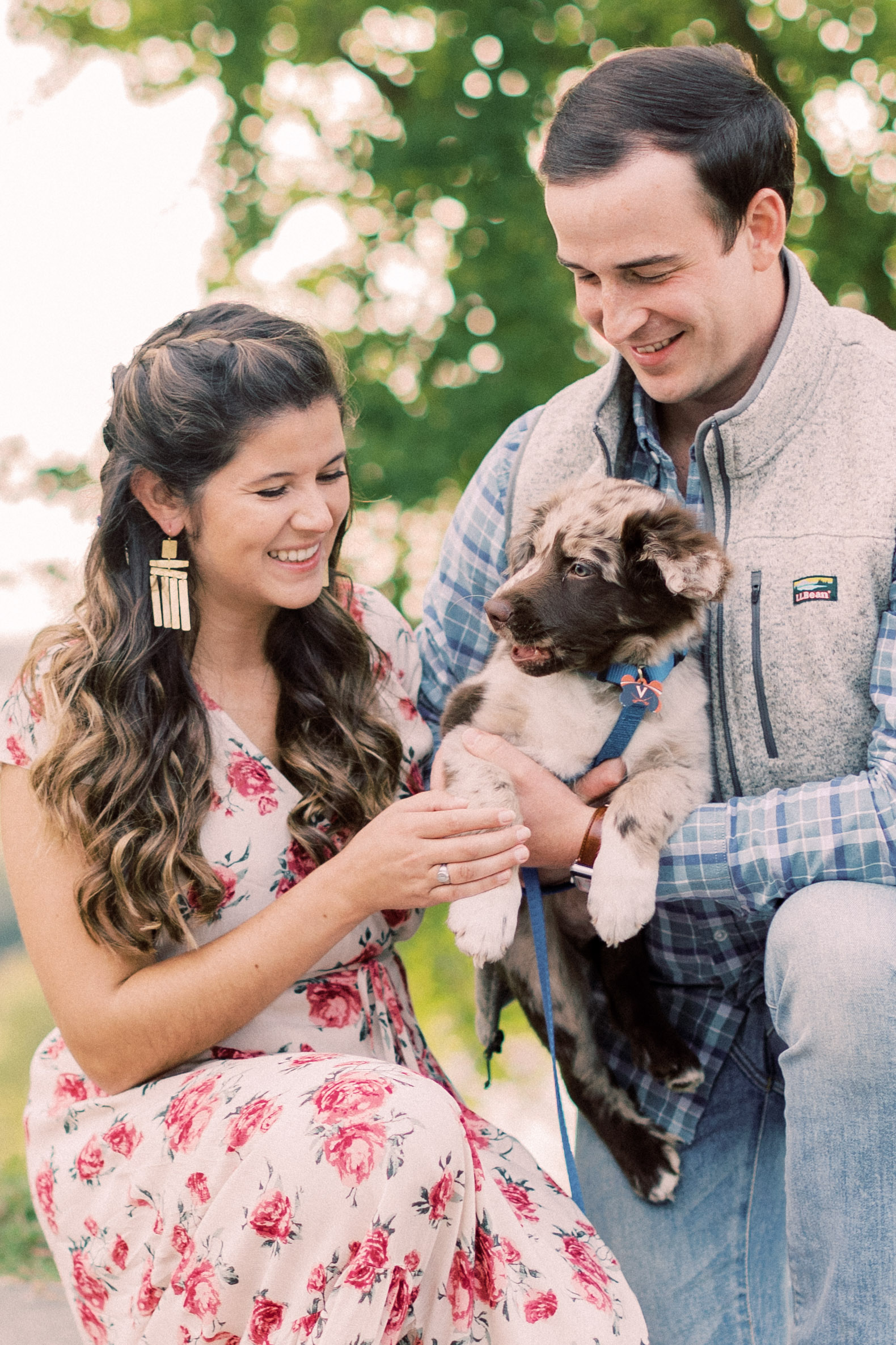 Dog Family Portraits | Libby Hill | Richmond, VA - brigitterenee.com